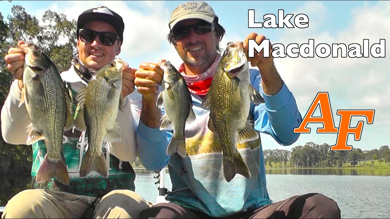 Bass Fishing Lake MacDonald Sunshine Coast Andysfishing Andy's Fish ...