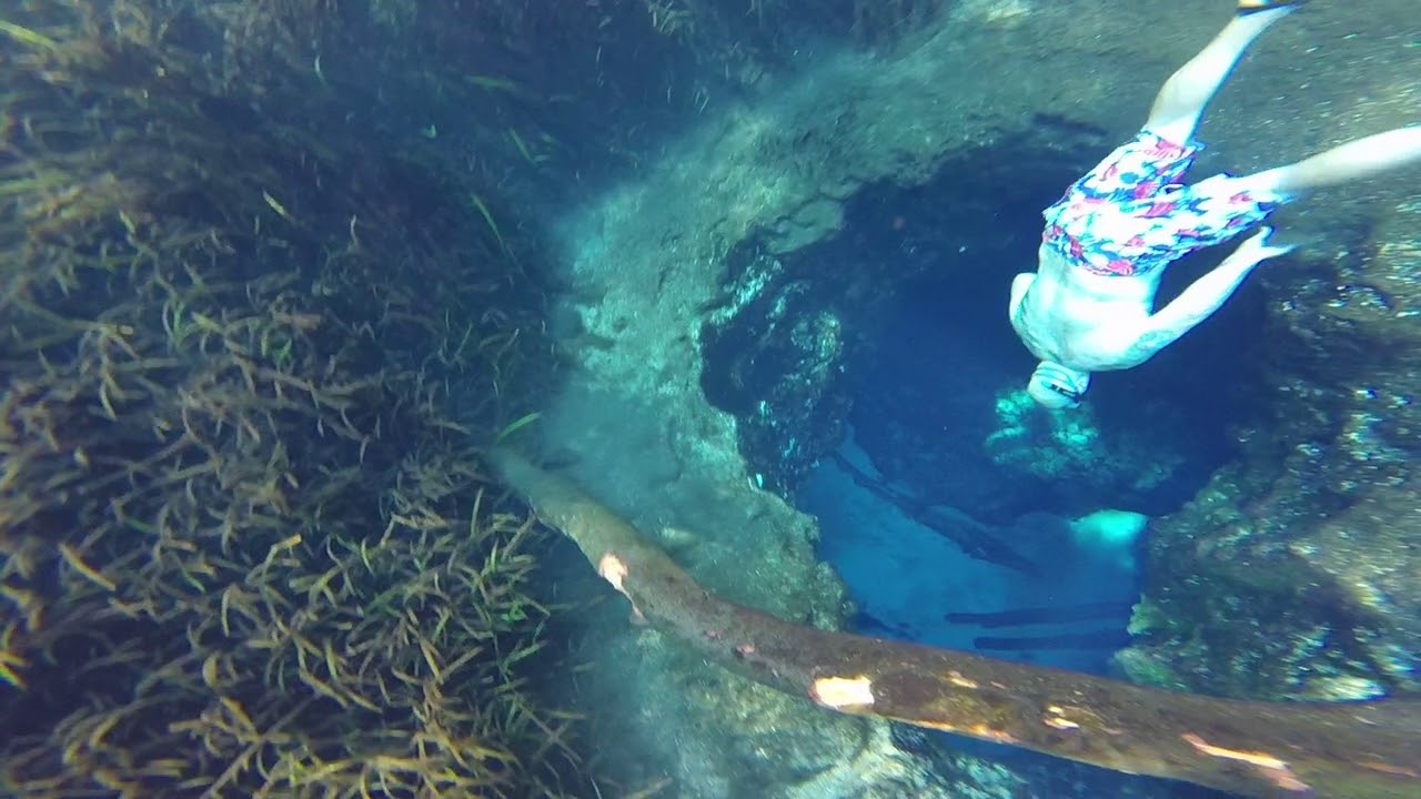 Ichetucknee Springs Florida Head Bump - YouTube