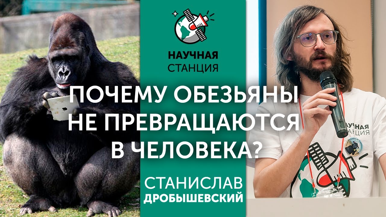 Почему обезьяны не превращаются в людей? Станислав Дробышевский - YouTube