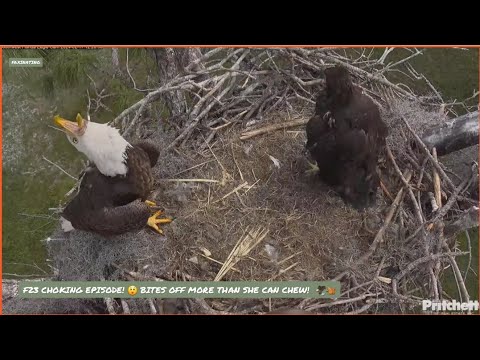 SWFL EAGLES ~ F23 CHOKING EPISODE! 😲 BITES OFF MORE THAN SHE CAN ...