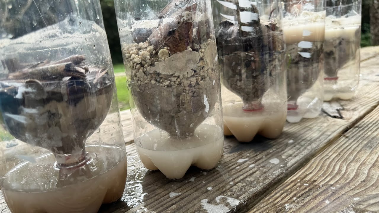 DIY Homemade Water Filter Experiment - YouTube