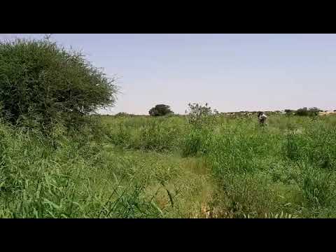 Dharoor valley - YouTube