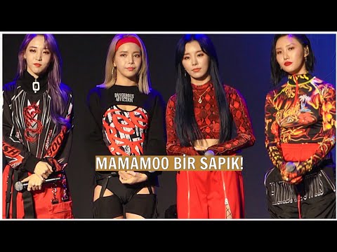 MAMAMOO BİR SAPIK! FANLAR TEPKİLİ!! | By ninilady