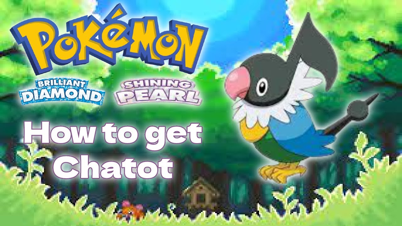 Chatot Pokemon Brilliant Diamond