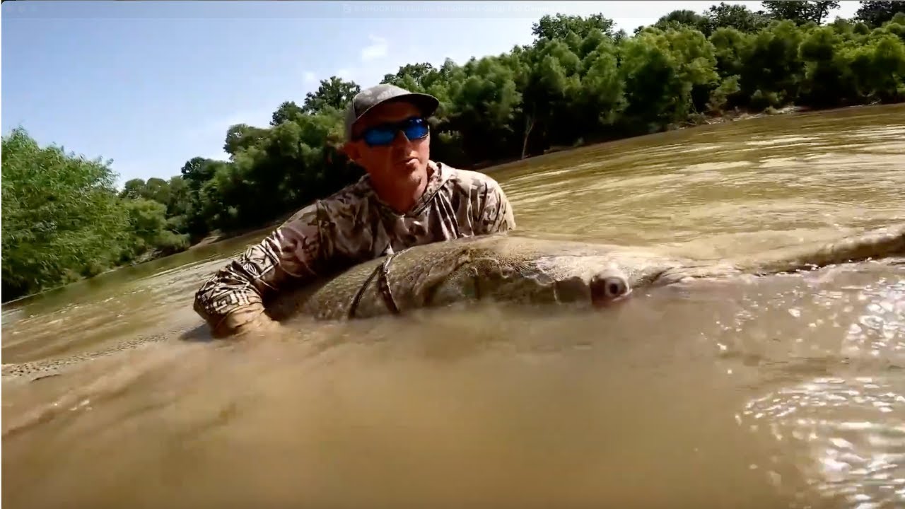 18 SHOCKING Fishing Encounters Caught on Camera #4 - YouTube