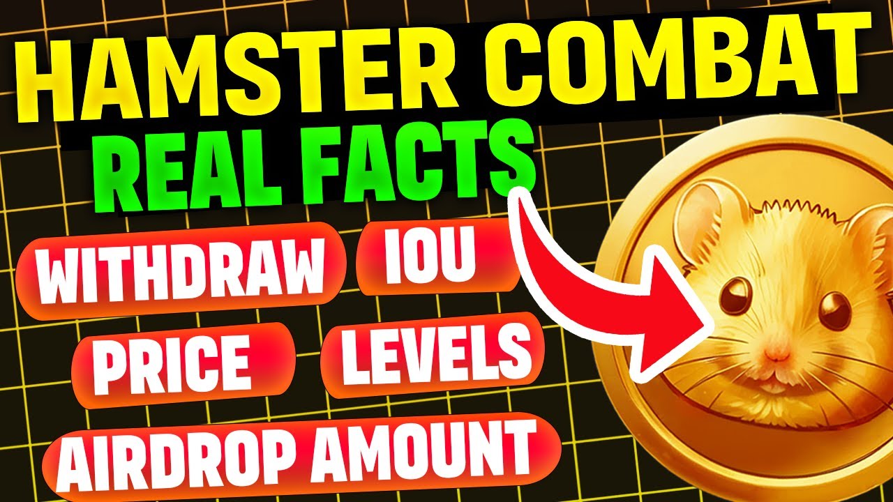 Hamster Combat REAL FACTS!! MUST WATCH before its too Late!! - YouTube