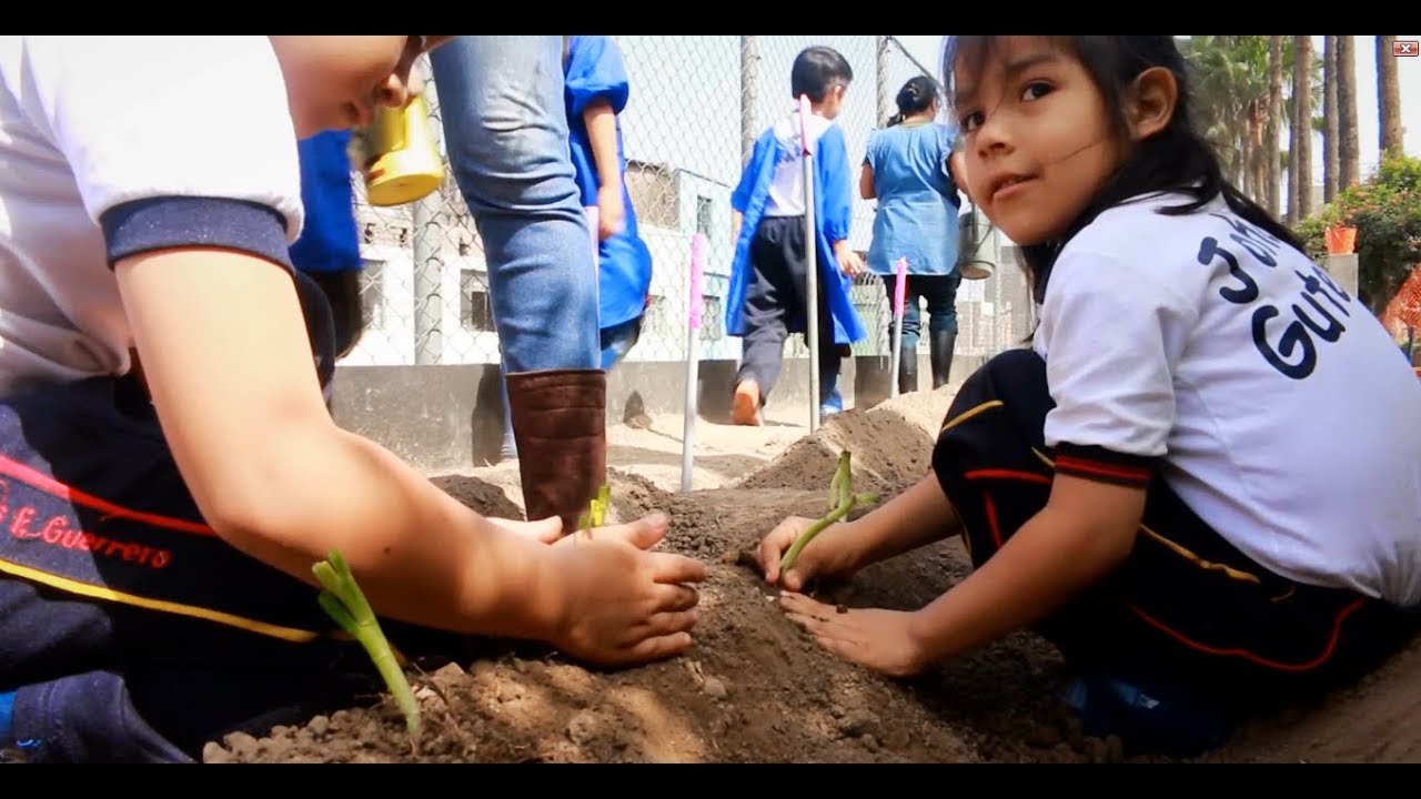 ¡Sembrando una nueva Lima! Biohuerto escolar en El Agustino - YouTube