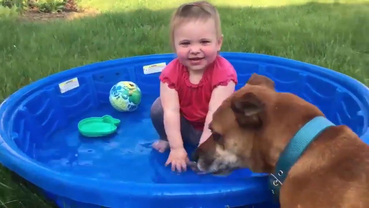 [Selected] Enjoy the summer! Children and dogs play in the water!.mp4 ...
