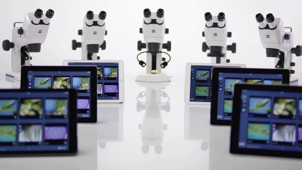 ZEISS How-to: Create a Digital Classroom with Your Stemi 305 cam - YouTube