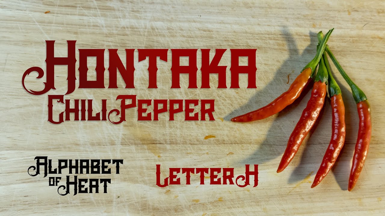 Hontaka Pepper - Better than a Thai pepper?! - Alphabet of Heat Letter ...