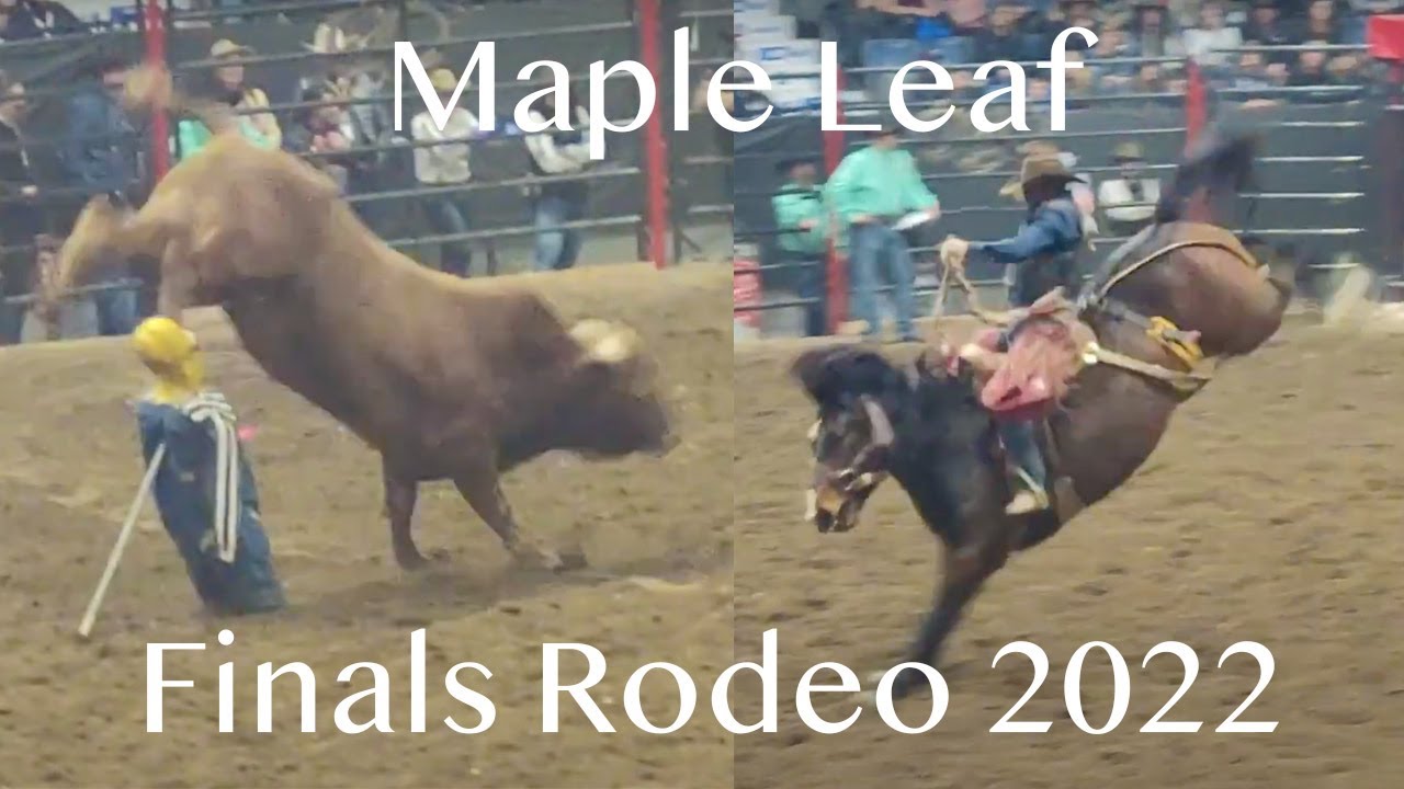 HE KICKED HOMER IN THE HEAD | Cowboy Mounted Shooting & Maple Leaf ...