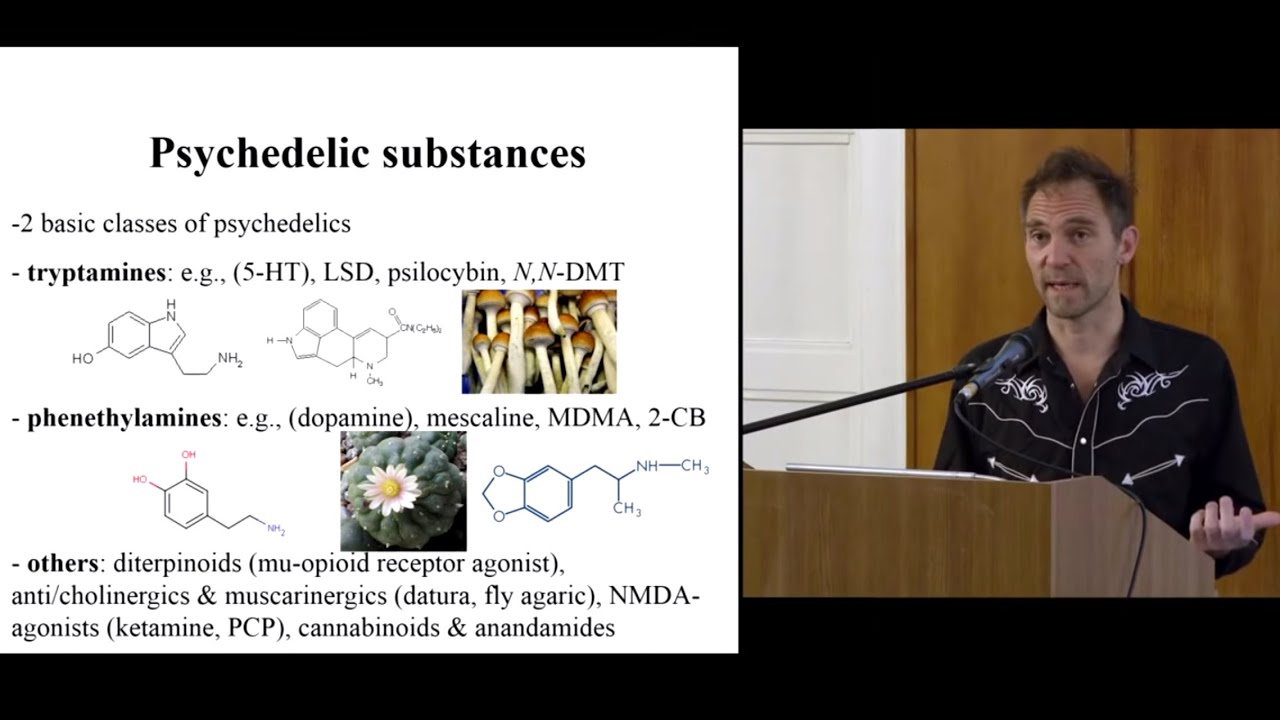 David Luke: Psychedelics and Mental Health - YouTube