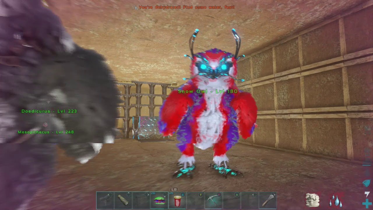 Vatos owl in a sand storm - YouTube