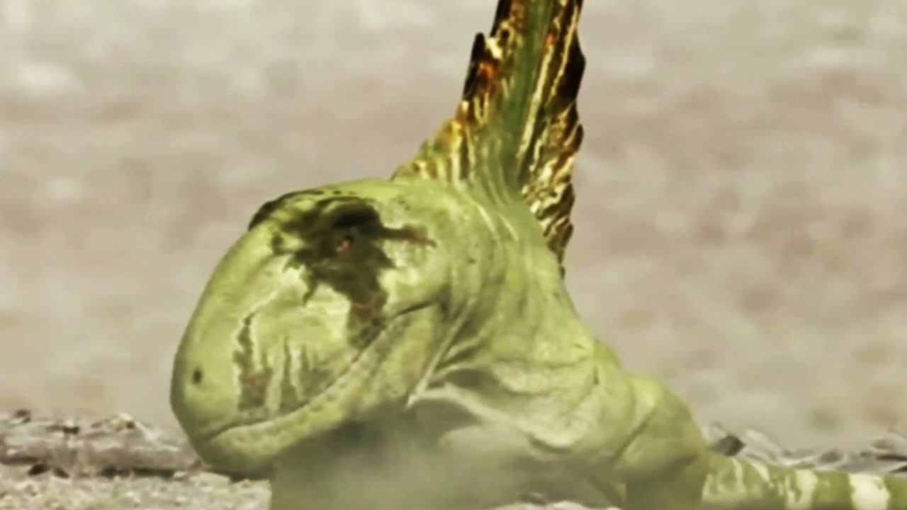 Dimetrodon had never seen such ******** before - YouTube