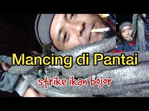 Mancing Di Pantai | Laut Selatan Yogyakarta || Strike Ikan Magfish #mancingmania #surffishing