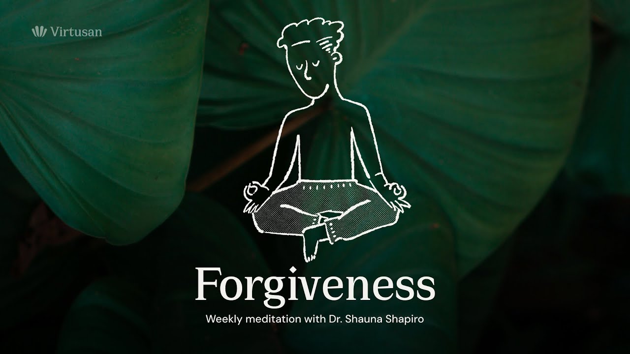Weekly Meditation Series "Forgiveness" by Dr. Shauna Shapiro - YouTube