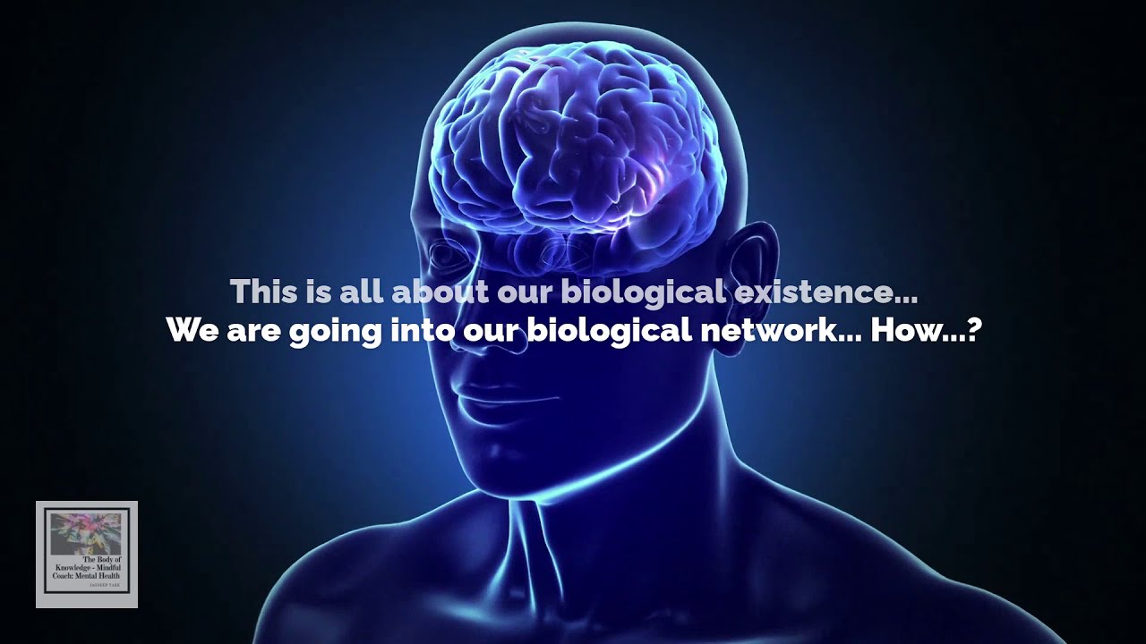 Biological Anatomy - YouTube