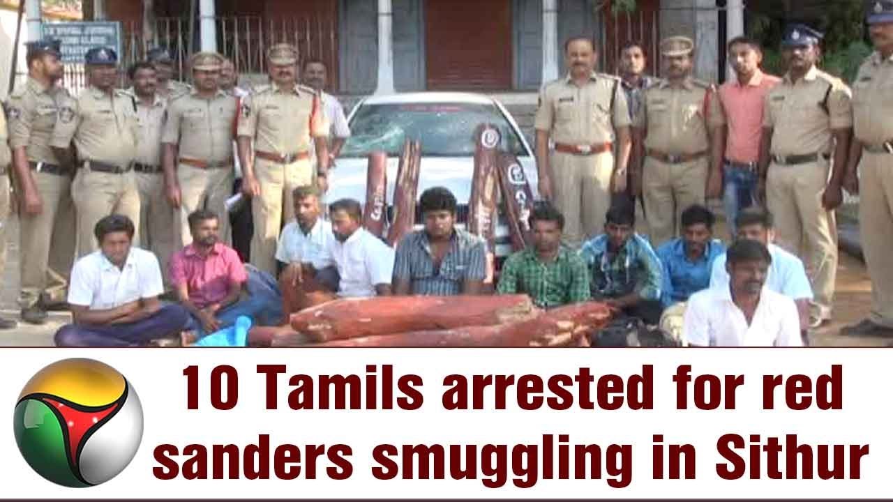 10 Tamils arrested for red sanders smuggling in Sithur, Andhra - YouTube