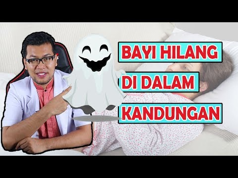 PENYEBAB BAYI HILANG DI DALAM KANDUNGAN, HAMIL KOSONG ATAU BLIGHTED OVUM