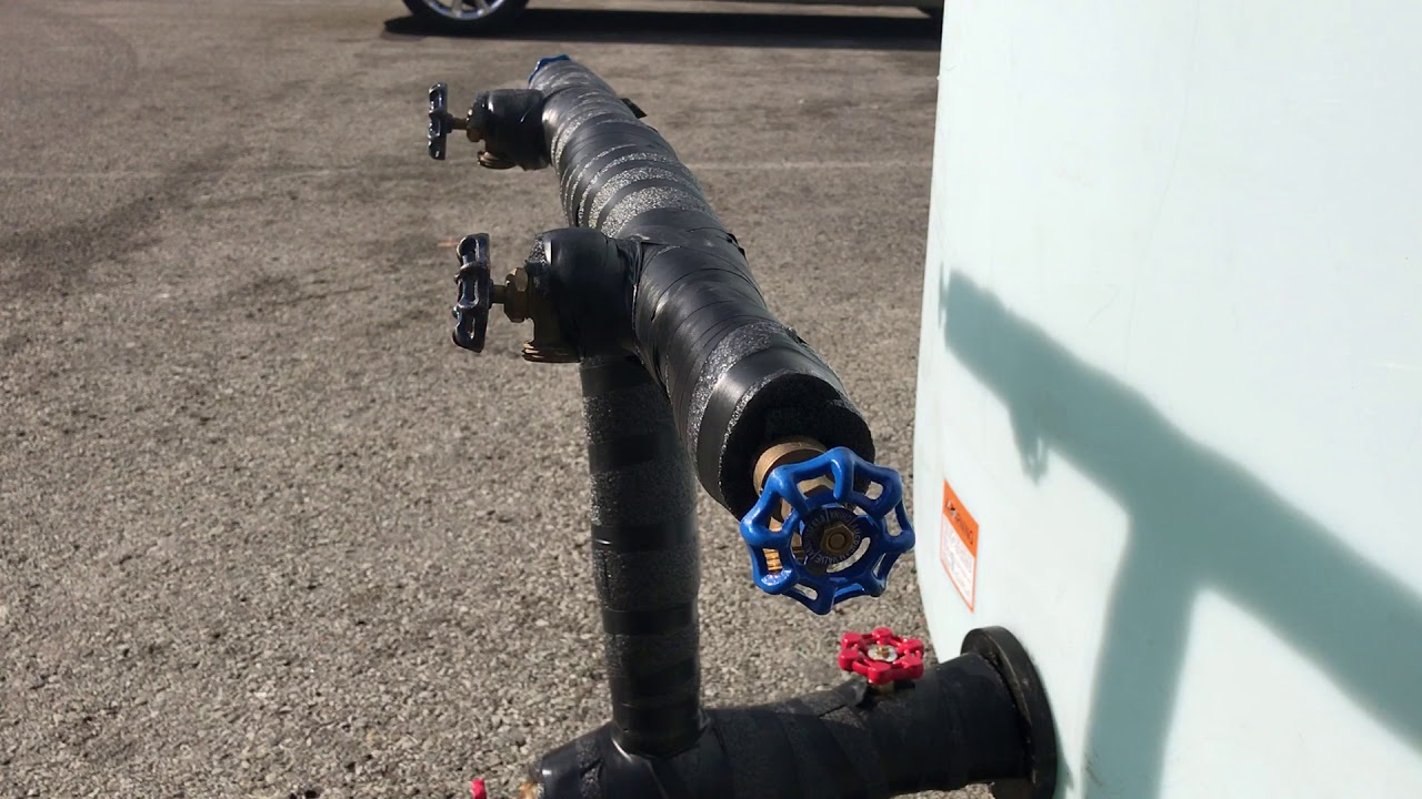 Water buffalo 4 - YouTube