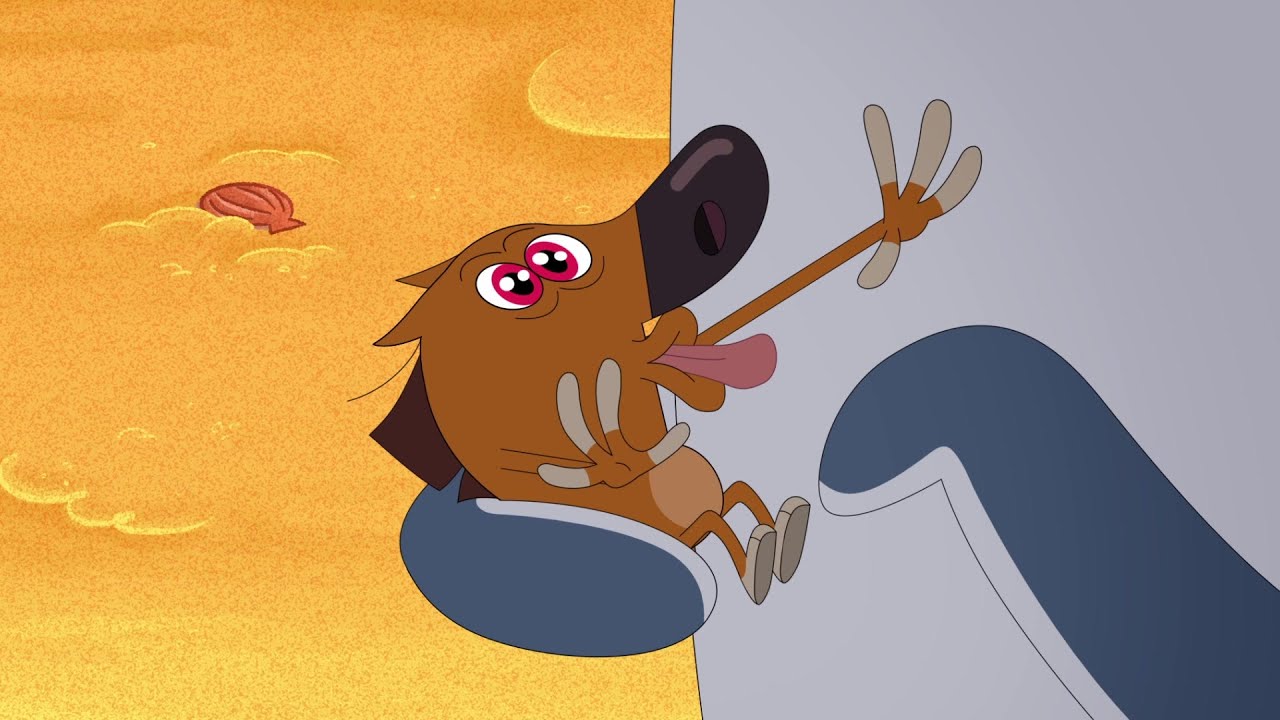 Zig & Sharko 👶👅 BABY ZIG IS COMING 👅👶 Full Episode in HD - YouTube