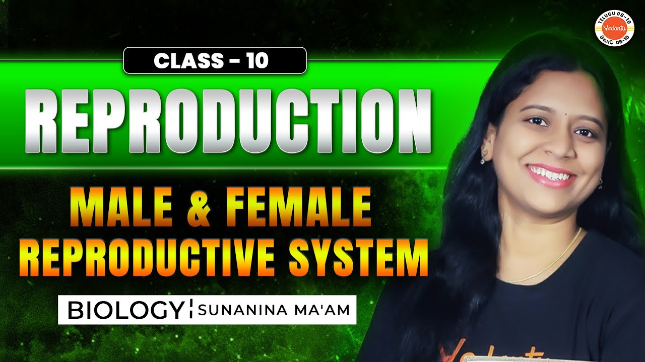 Male & Female Reproductive System | SSC 2025 | AP & TS State Board ...