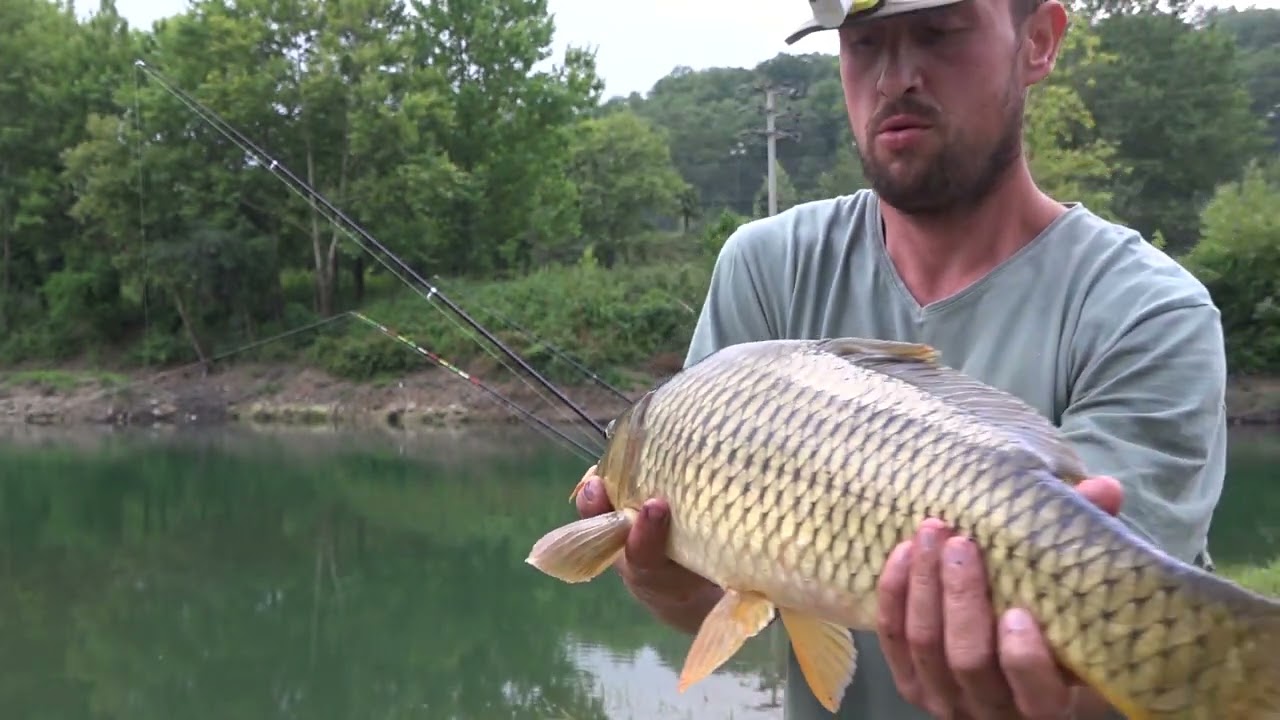 SAZAN AVI Carp Fishing Hunting 2022 - YouTube