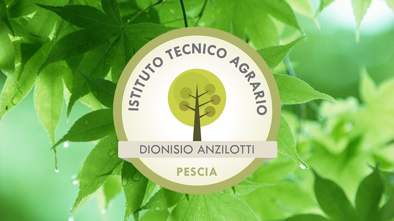 ITA "D. Anzilotti " - Pescia (PT) - YouTube