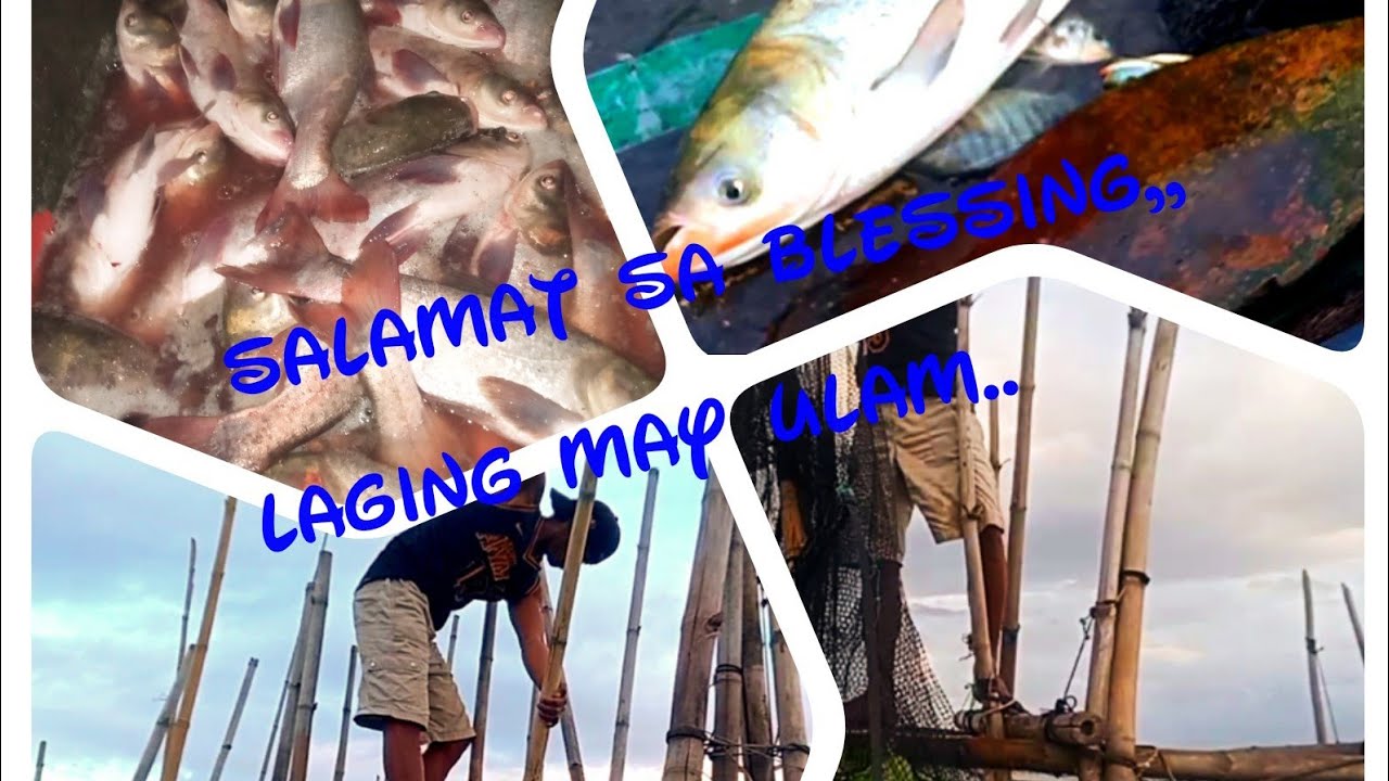 Baklad fishing,Ang laki ng huli. - YouTube