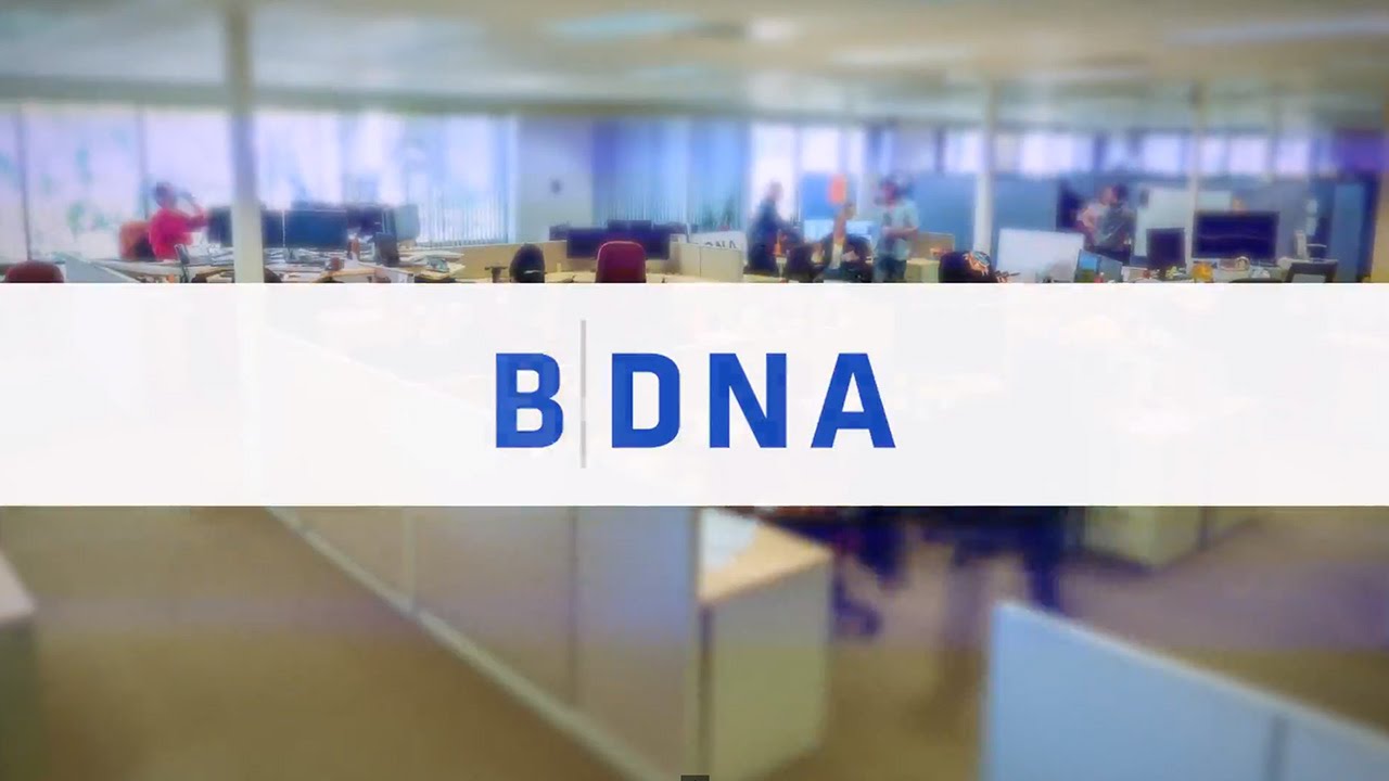 BDNA Overview (Subtitles) - YouTube