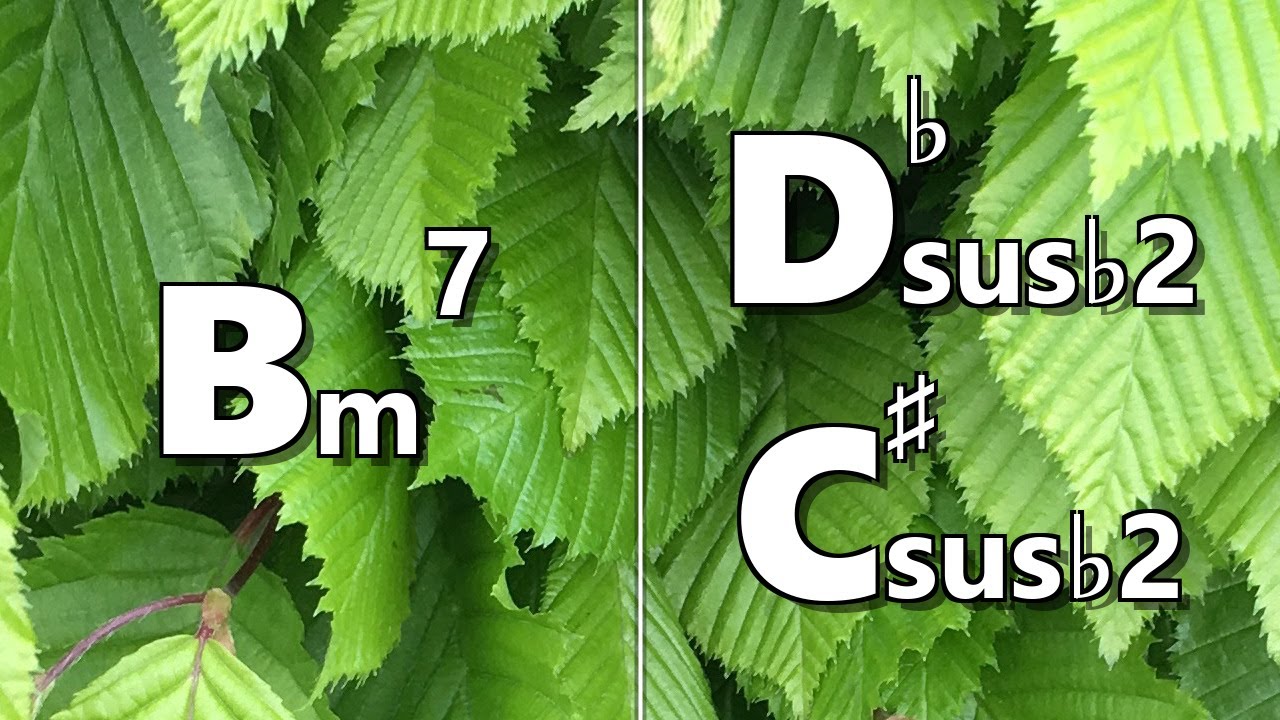 Bm7 to Dbsus b2 (C#sus b2) Backing Track - YouTube