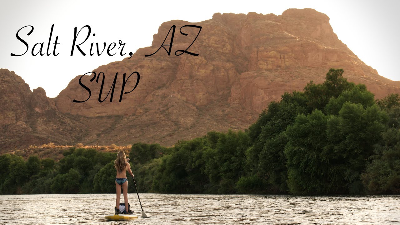 Wild Horses and SUP on the Salt River, AZ - YouTube