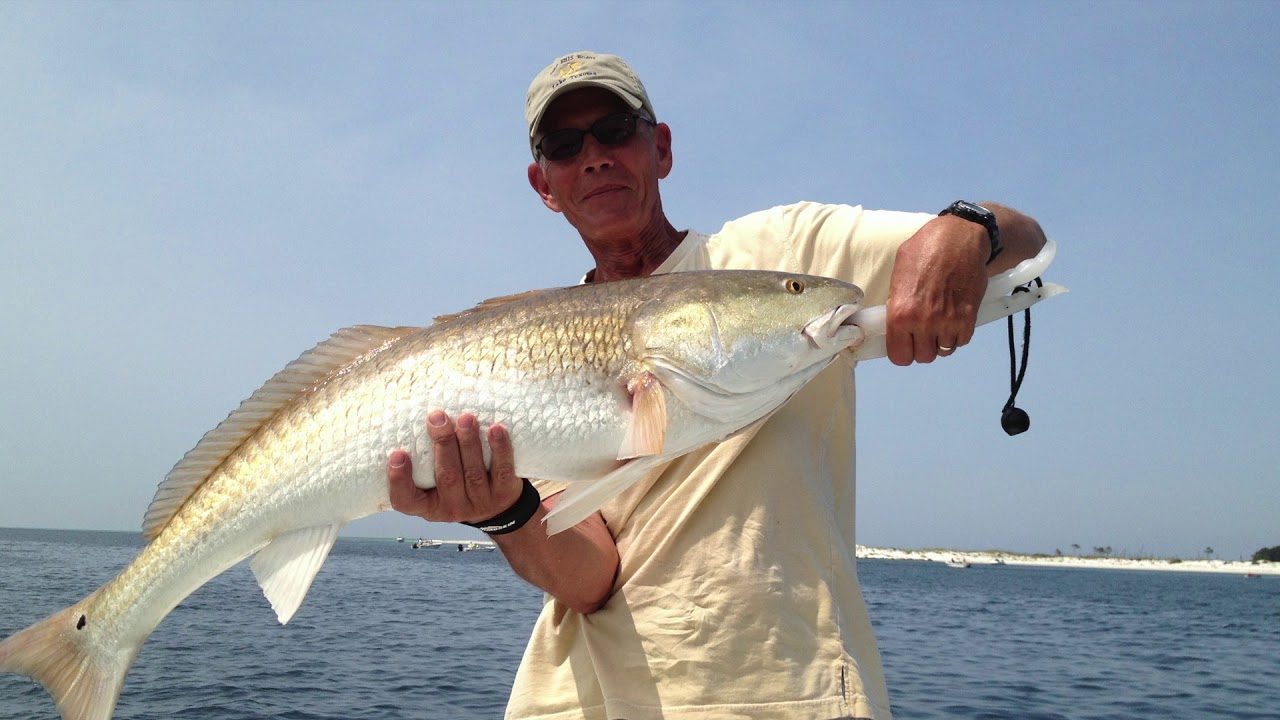 Catching Bull Reds! Inshore Redfish fishing on the Gulf of Mexico ...