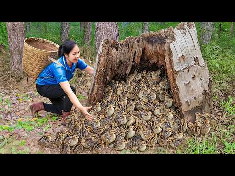 UNBELIEVABLE! Harvest 10.000 Baby Quails & Go to Market Sell | 120 Days of Survival in Deep Forest