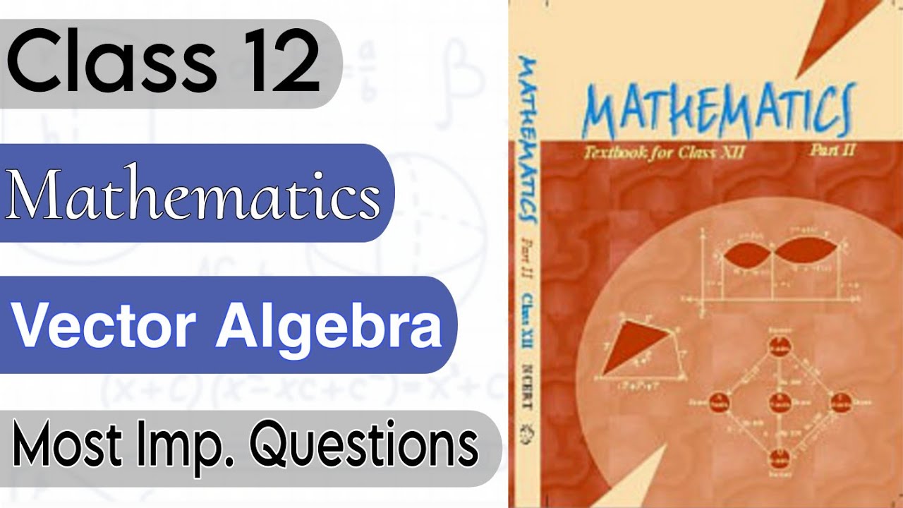 Vector algebra class 12 important questions 2024 | vector algebra class ...