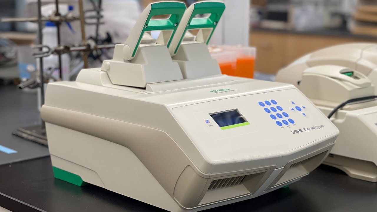 How to Use the Bio-Rad S1000 Thermal Cycler for PCR - YouTube