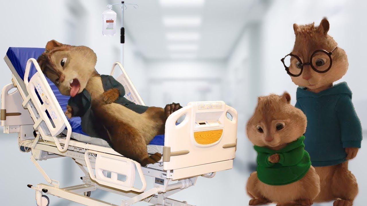 [MoS] Pain and Suffering (Alvin and the Chipmunks) - YouTube