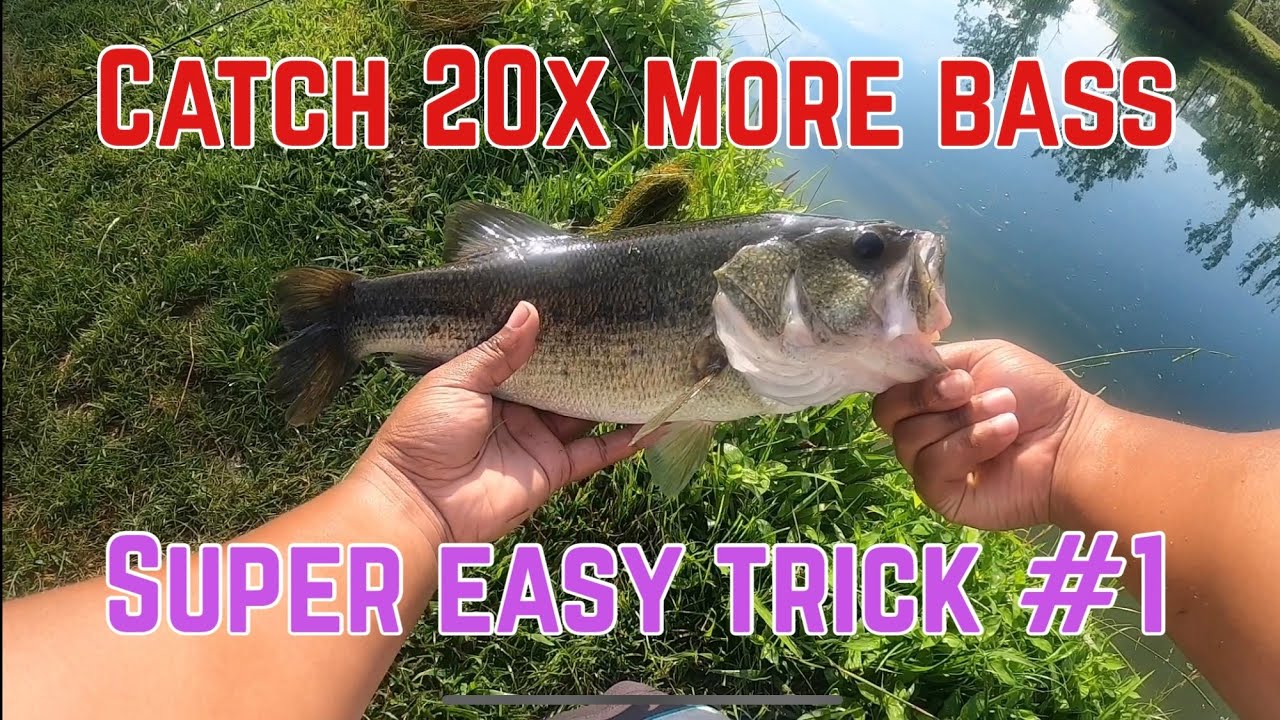 BASS FISHING with LIVE BAIT , EASIEST WAY TO CATCH 20x MORE BASS NOW ...