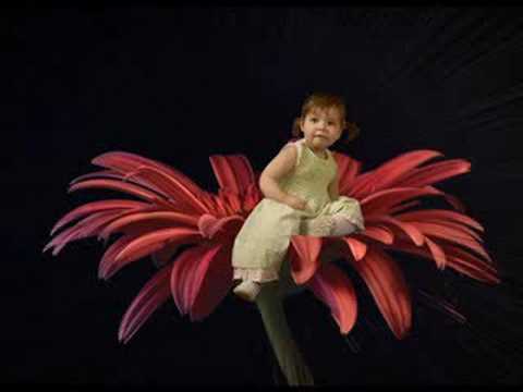 Baby photography creations - YouTube