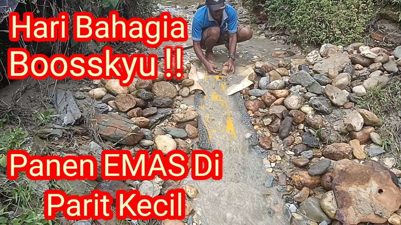 EMAS Melimpah di Parit Kecil dan Berbatu.👍👍 - YouTube