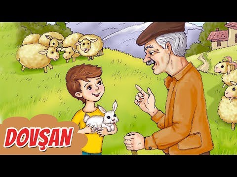 Dovşan
