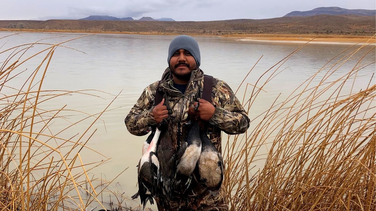 My First Duck of 2020!! (Southern Nevada Duck hunt) - YouTube