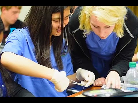 Apprentice Doctor® Simulation Training Events - YouTube