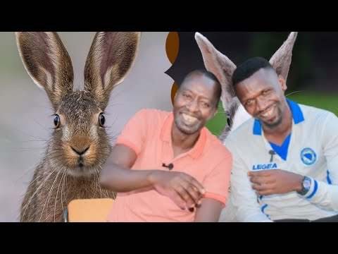 INKWAVU ZIRAGWIRA🤣 INKURU Y'IGIKONA🐦‍🔥 N'URUKWAVU🐰 TWASETSE TURATEMBAGA ...
