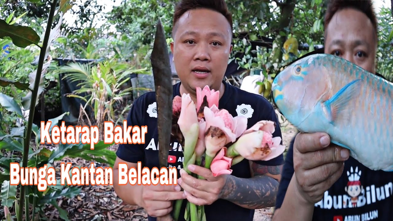 Resepi Orang Kampung,Bunga Kantan Goreng Belacan Dan Ikan Ketarap Bakar ...