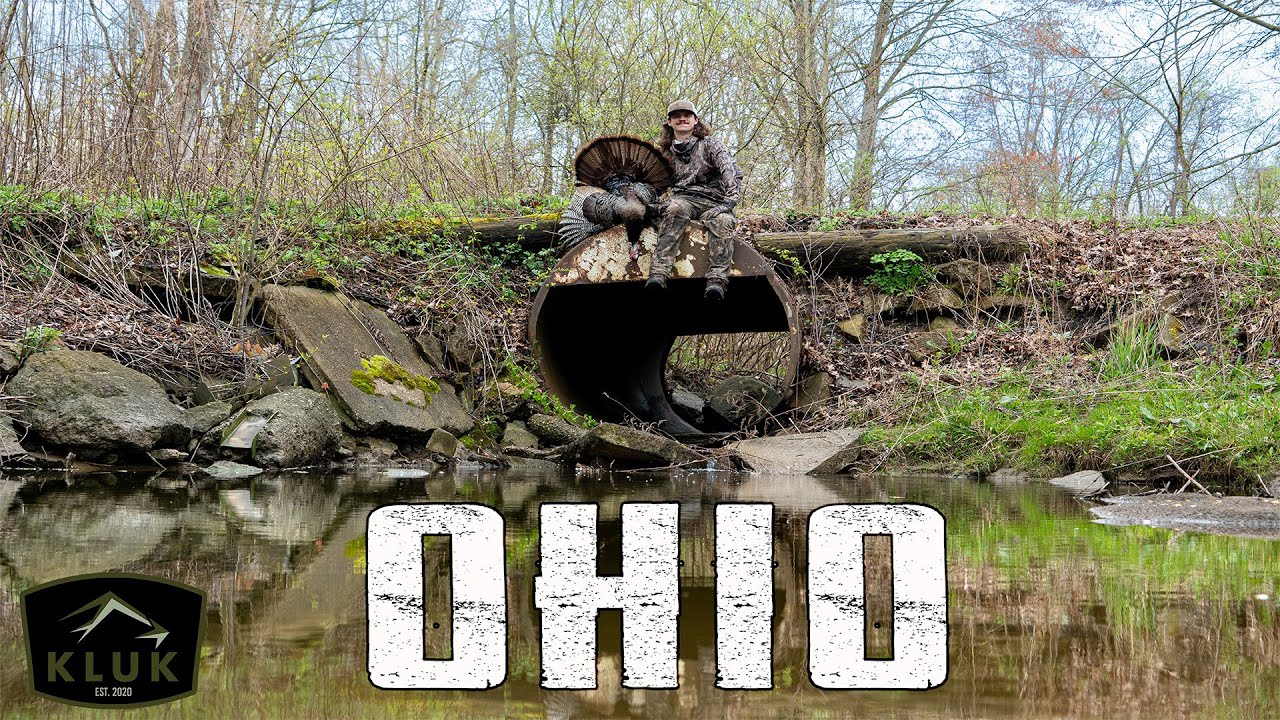 Run and Gun Longbeards | Ohio Turkey Hunting - YouTube