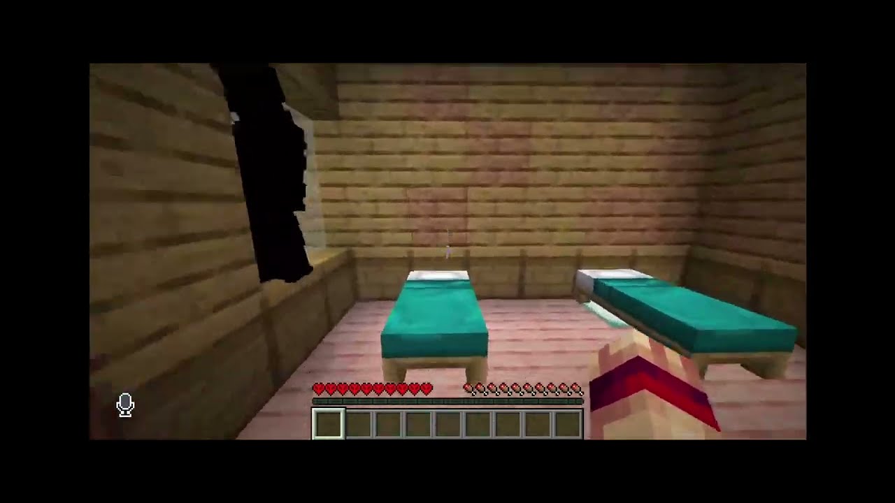 Stupid ppl smp EP:1 - YouTube