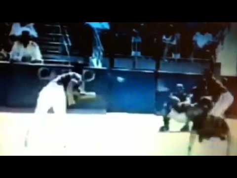 Randy Johnson hit bird while pitching - YouTube
