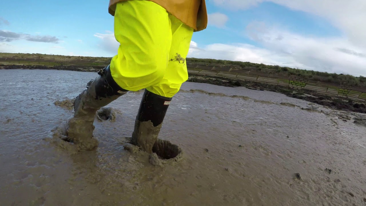 Hunter wellies explore the muddy River Roach estuary - YouTube