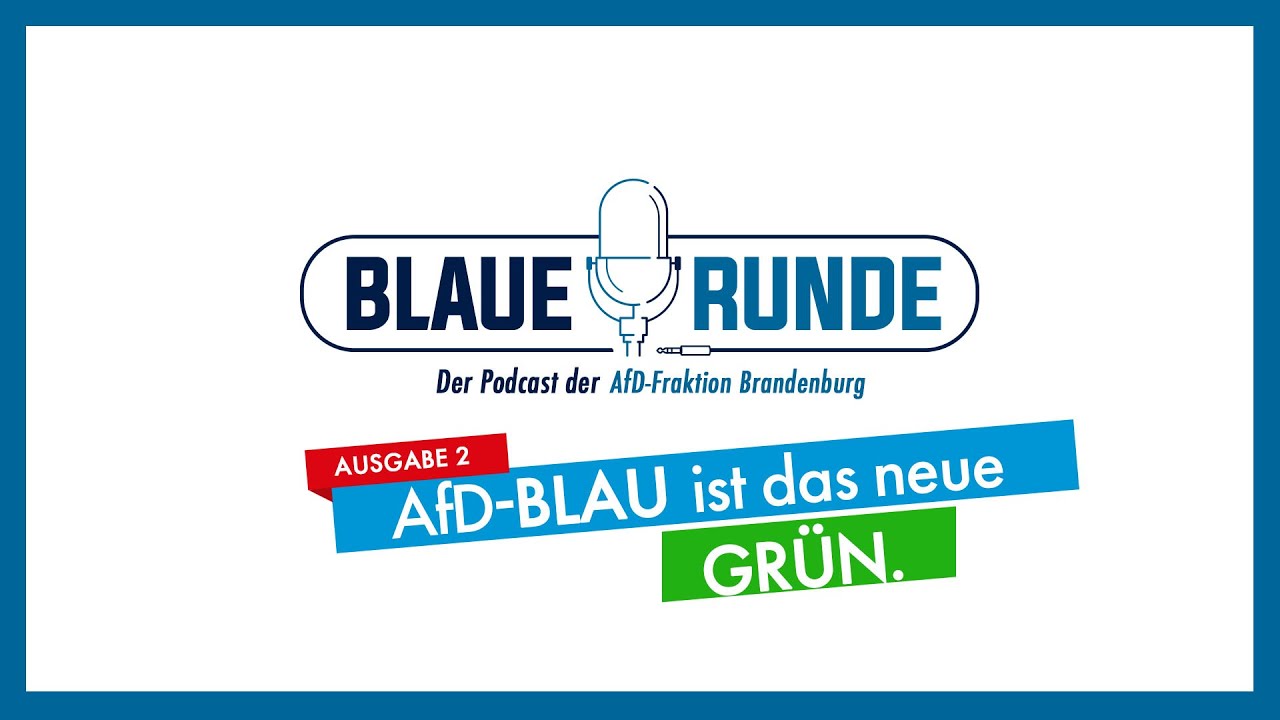AfD-Blau ist das neue Grün! | Die Blaue Runde - Ausgabe 2 - YouTube